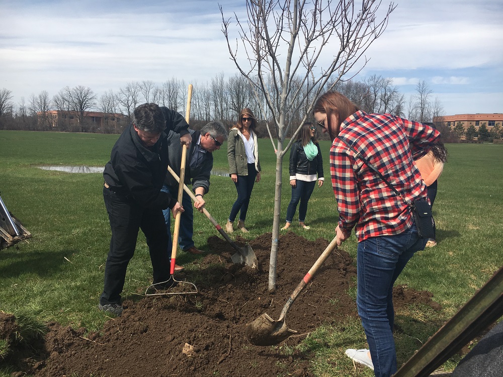 3 Arbor Day Recommendations for Planting a Tree | EagleView US